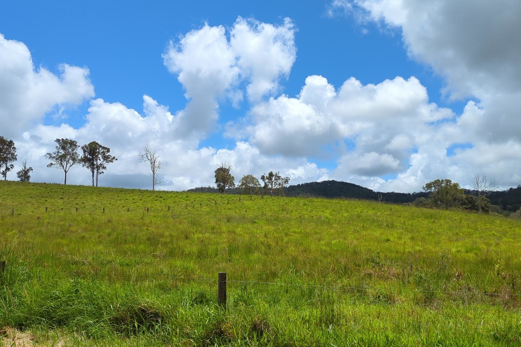 Coast's largest property? Riverfront 1000-acre farm for sale