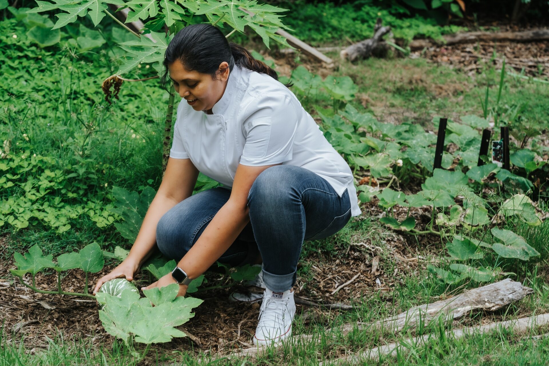 Chef to offer taste of 'childhood flavours' at new restaurant