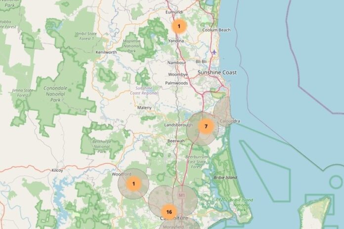 Fire ants extend reach on Sunshine Coast