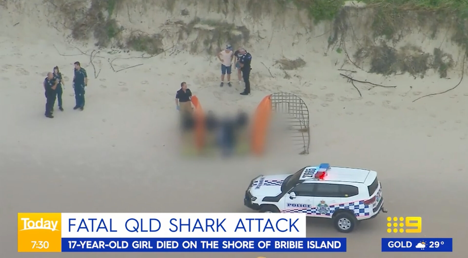 'Happiest place': shark attack victim loved the ocean