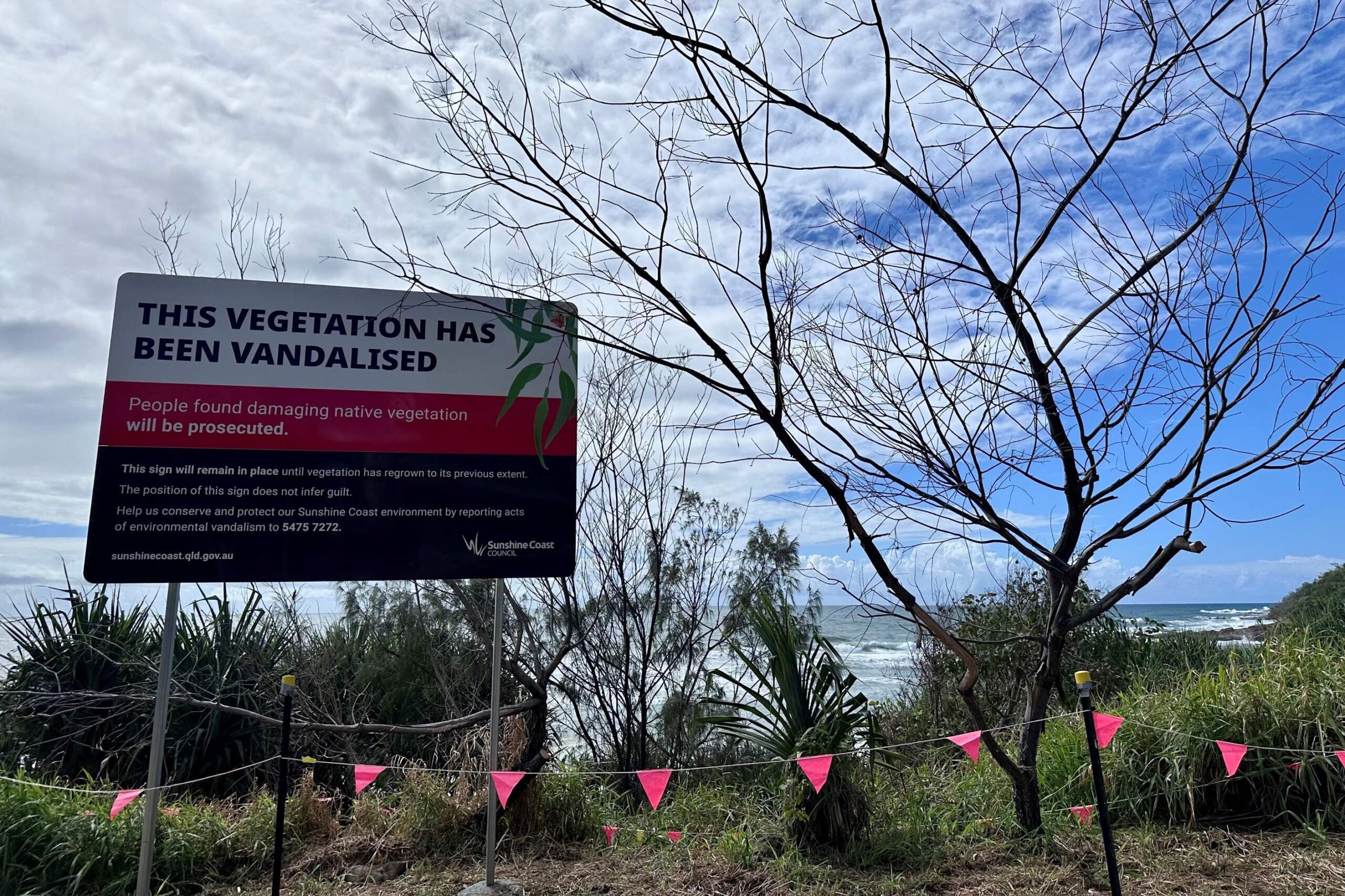 'Troubling': coastal tree poisoning sparks investigation