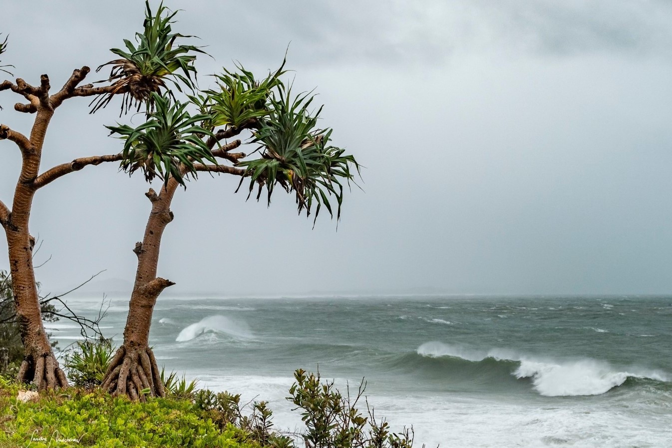 Map shows cyclone could centre on Coast