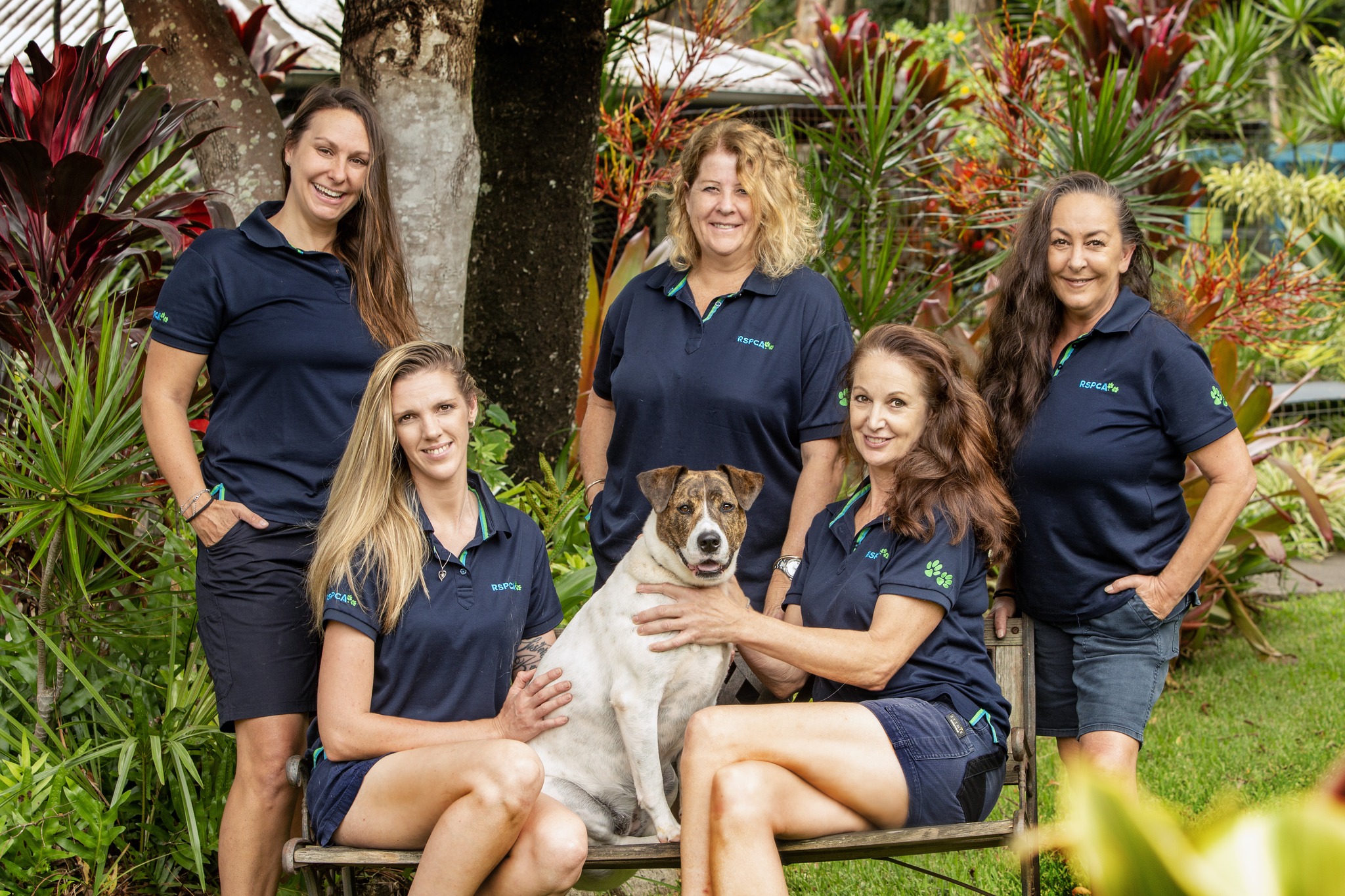 End of an era: animal shelter to close after 32 years