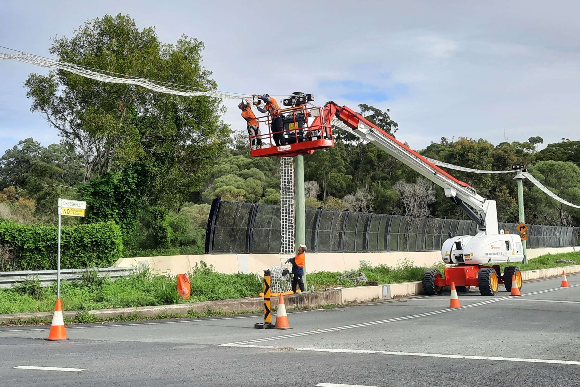 Rope bridge repaired to help wildlife cross busy road