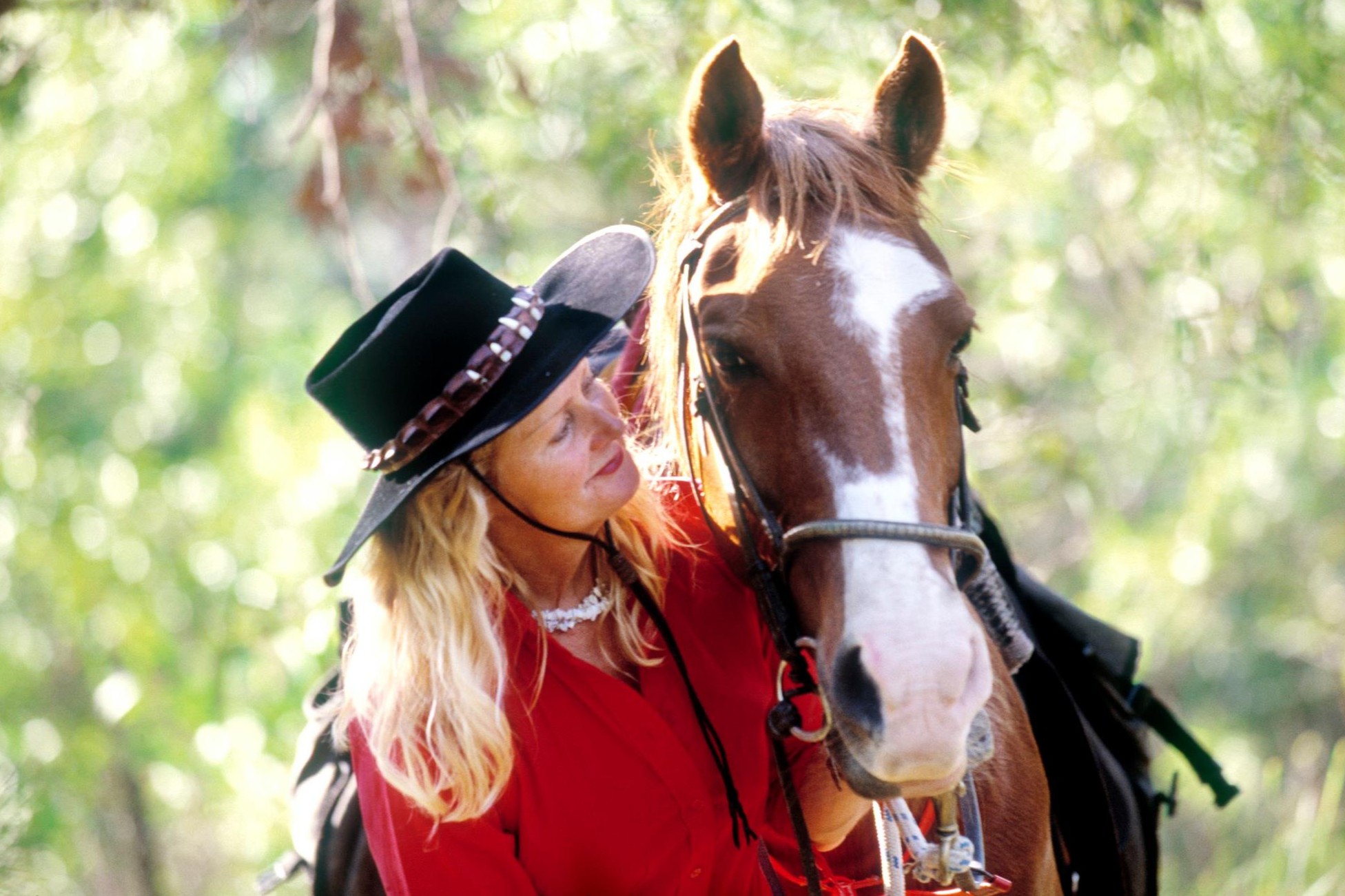 Animal welfare 'under investigation' at horse-riding ranch