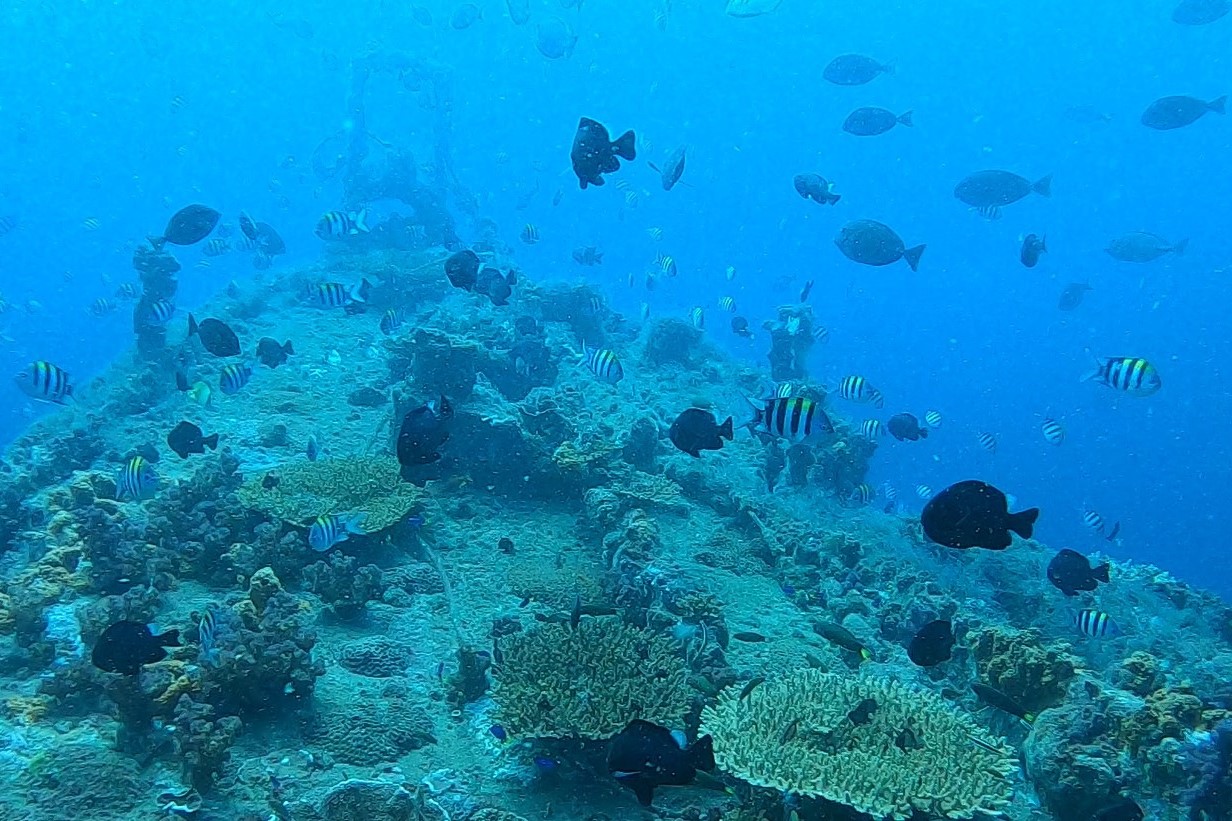 Wreck site reopens with limited access