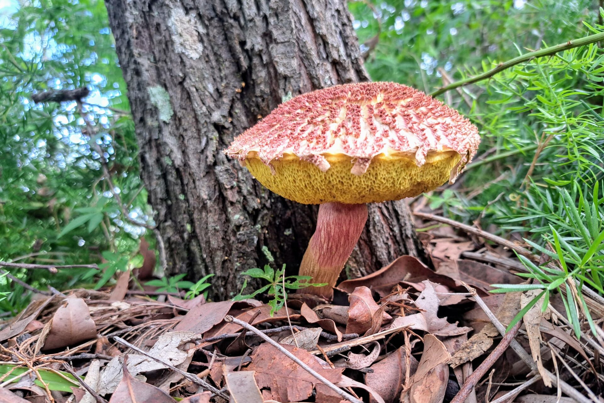 Photo of the day: strange creation