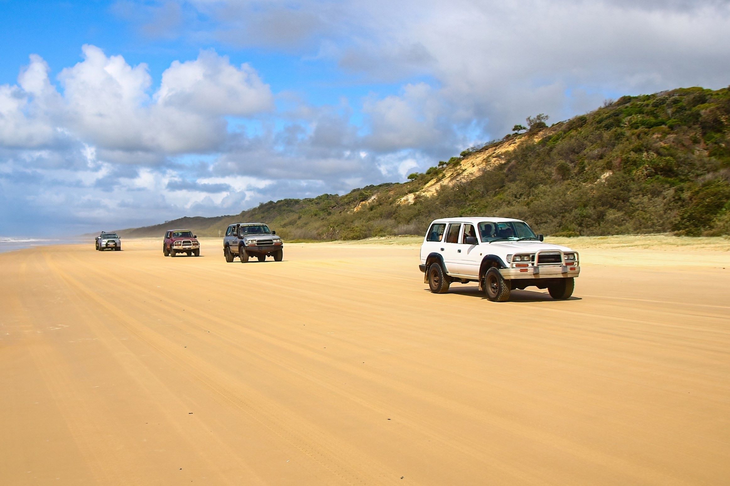 Expert warns of ongoing harm from beach driving