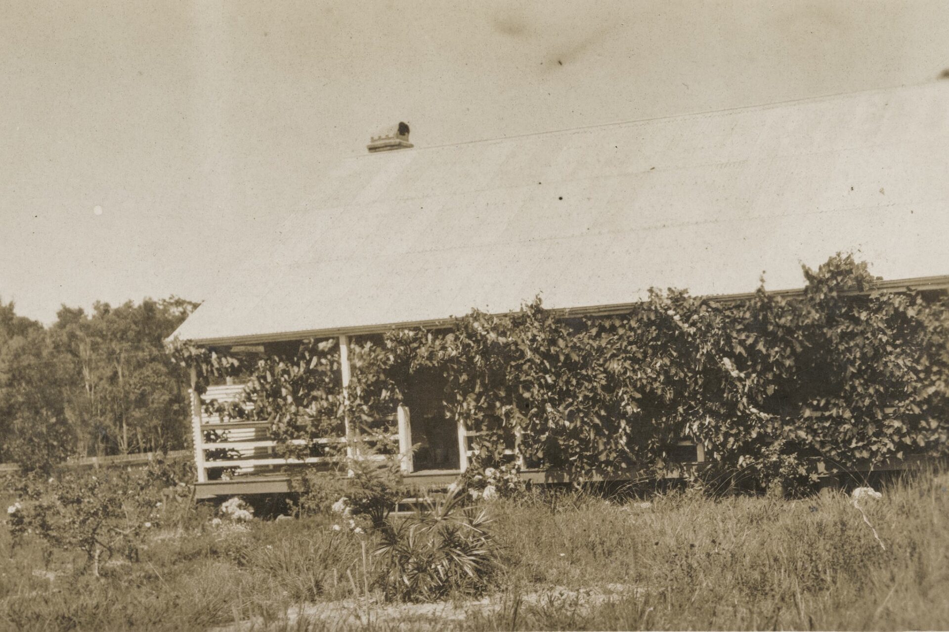 School grounded in history to celebrate milestone