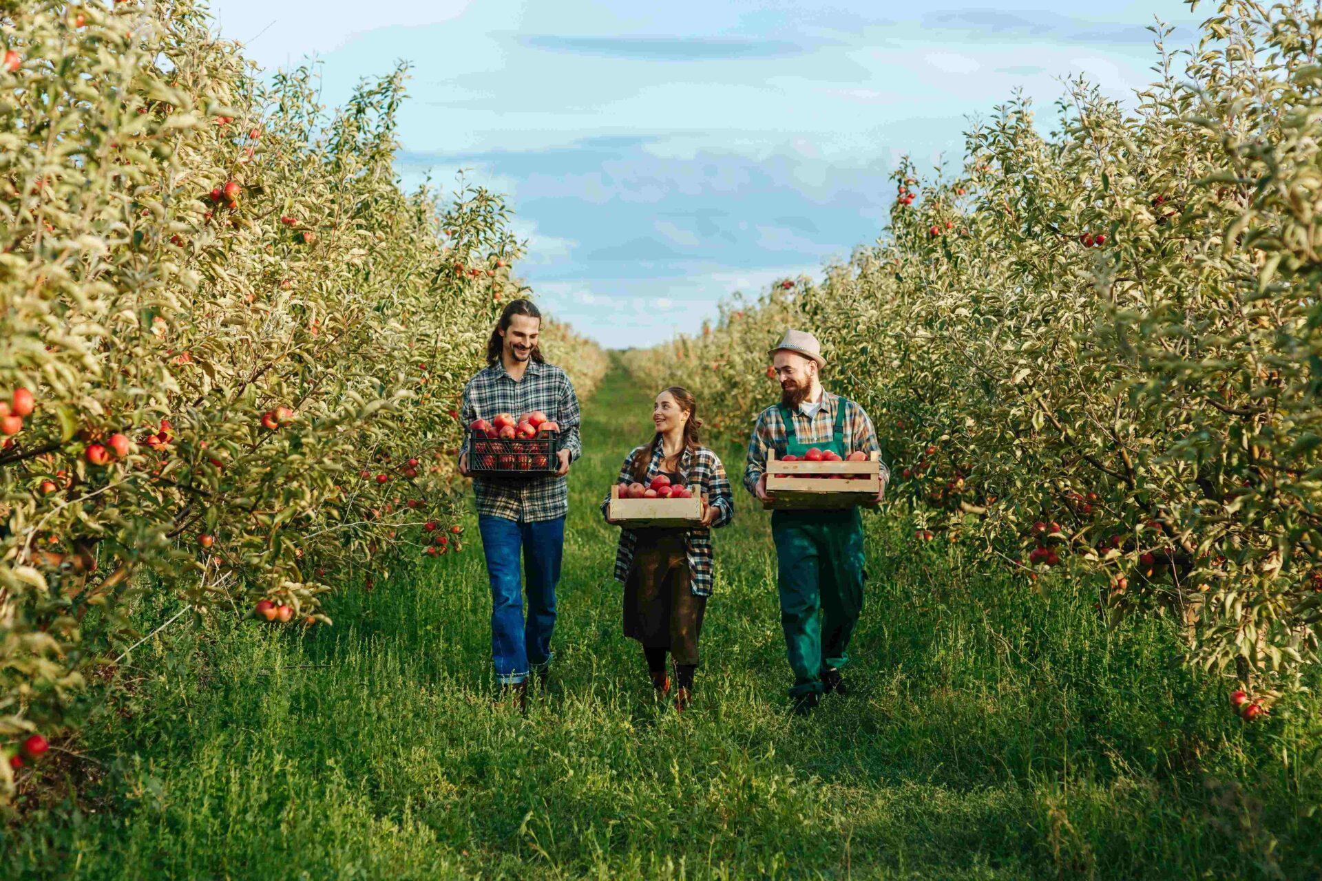 Watchdog ‘cuts down’ non-compliant horticulture businesses