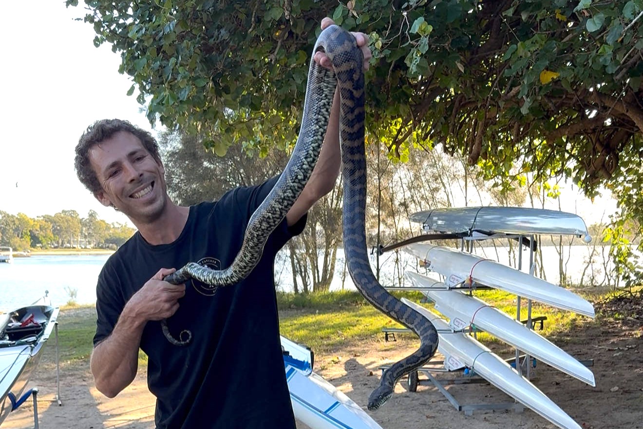 Six-foot python surprises rowers on island