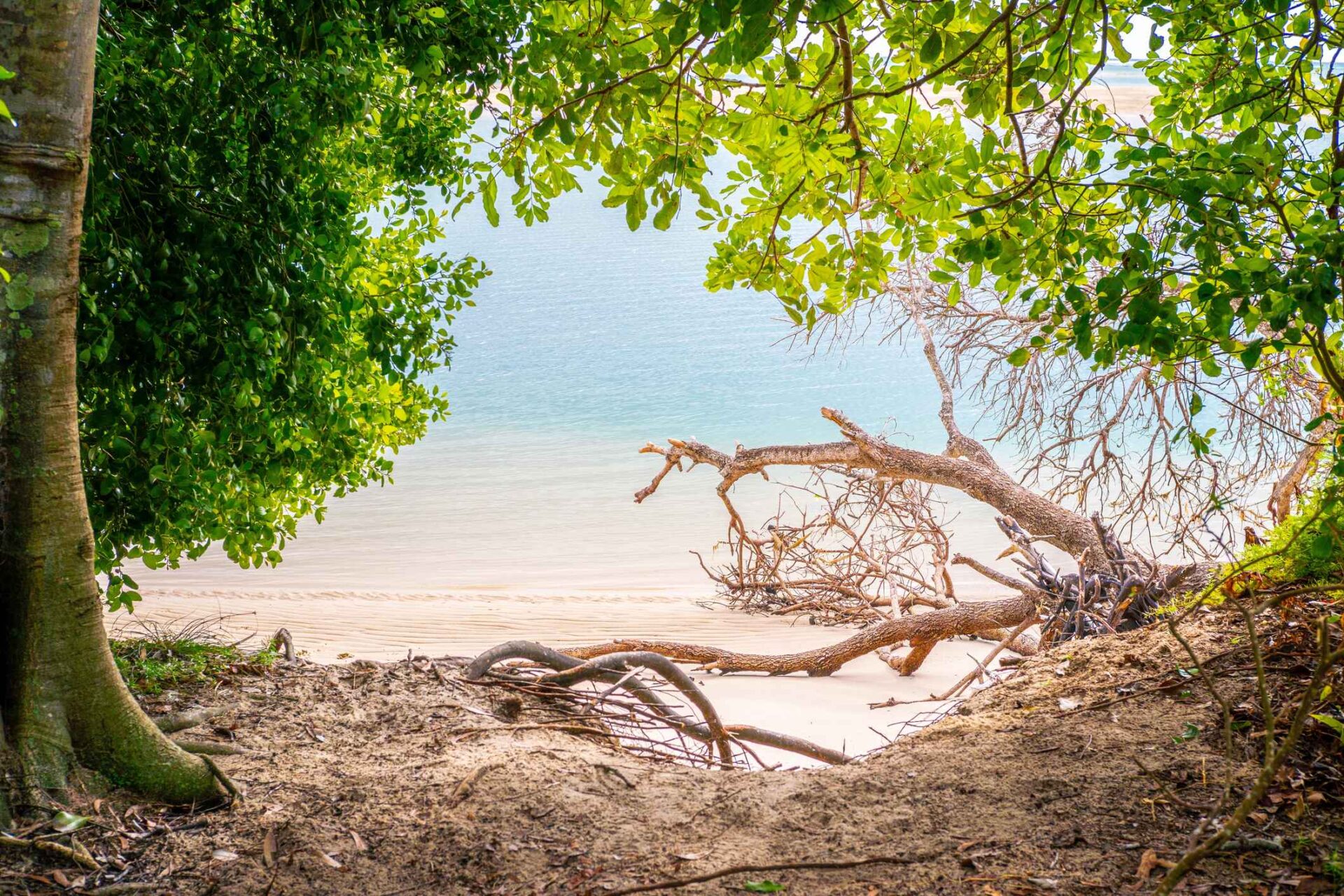 Sally dinosaur cam so easy to talk to and receptive to