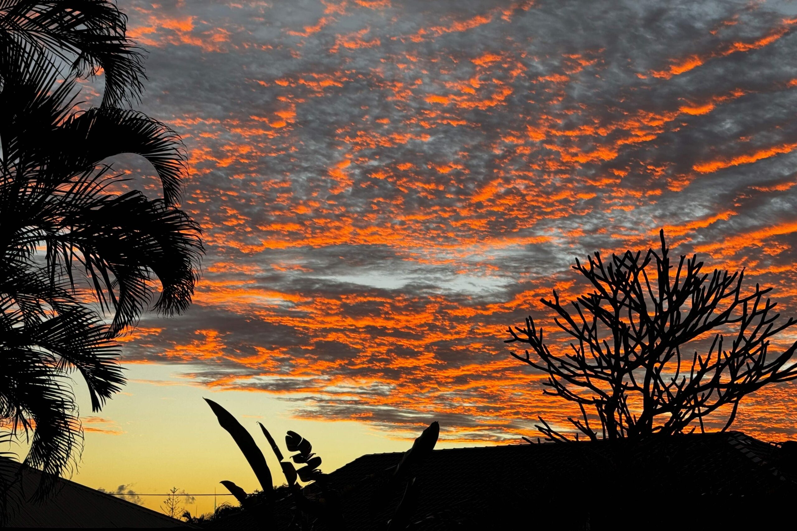 Photo of the day: pretty skies