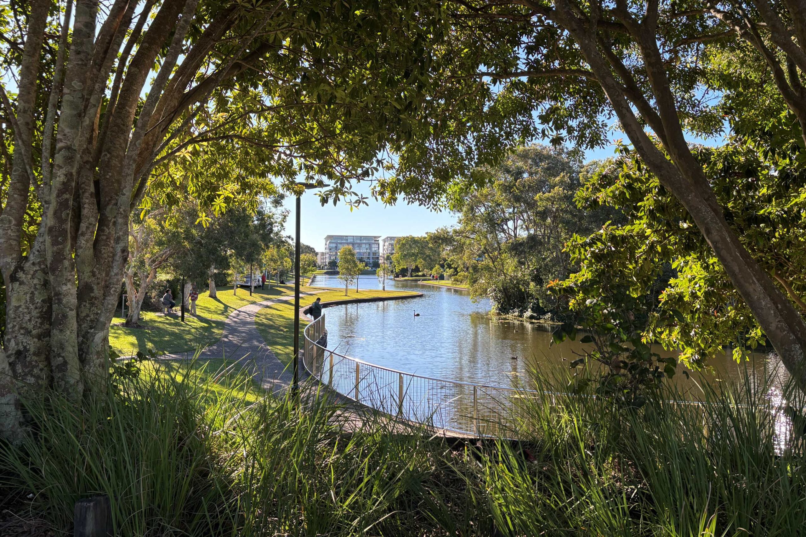 Photo of the day: park reflections