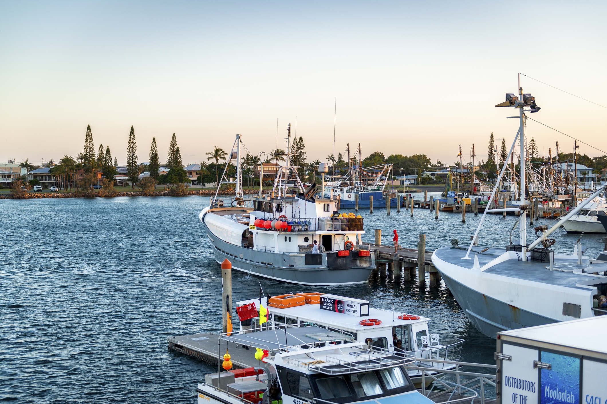 Master plan to chart harbour’s future