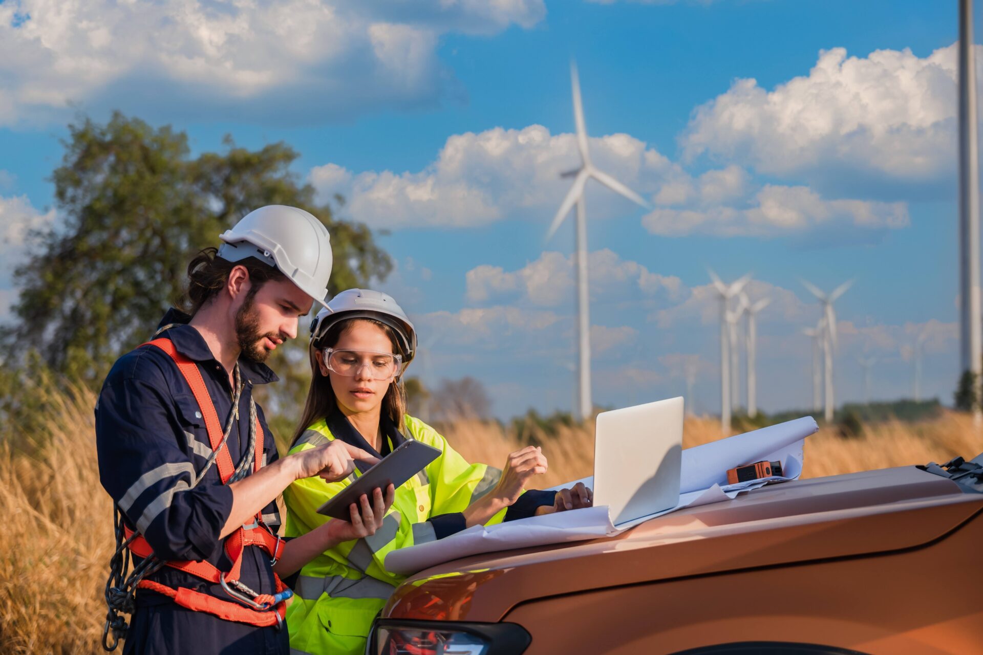 Wind farm axed after community, approval concerns