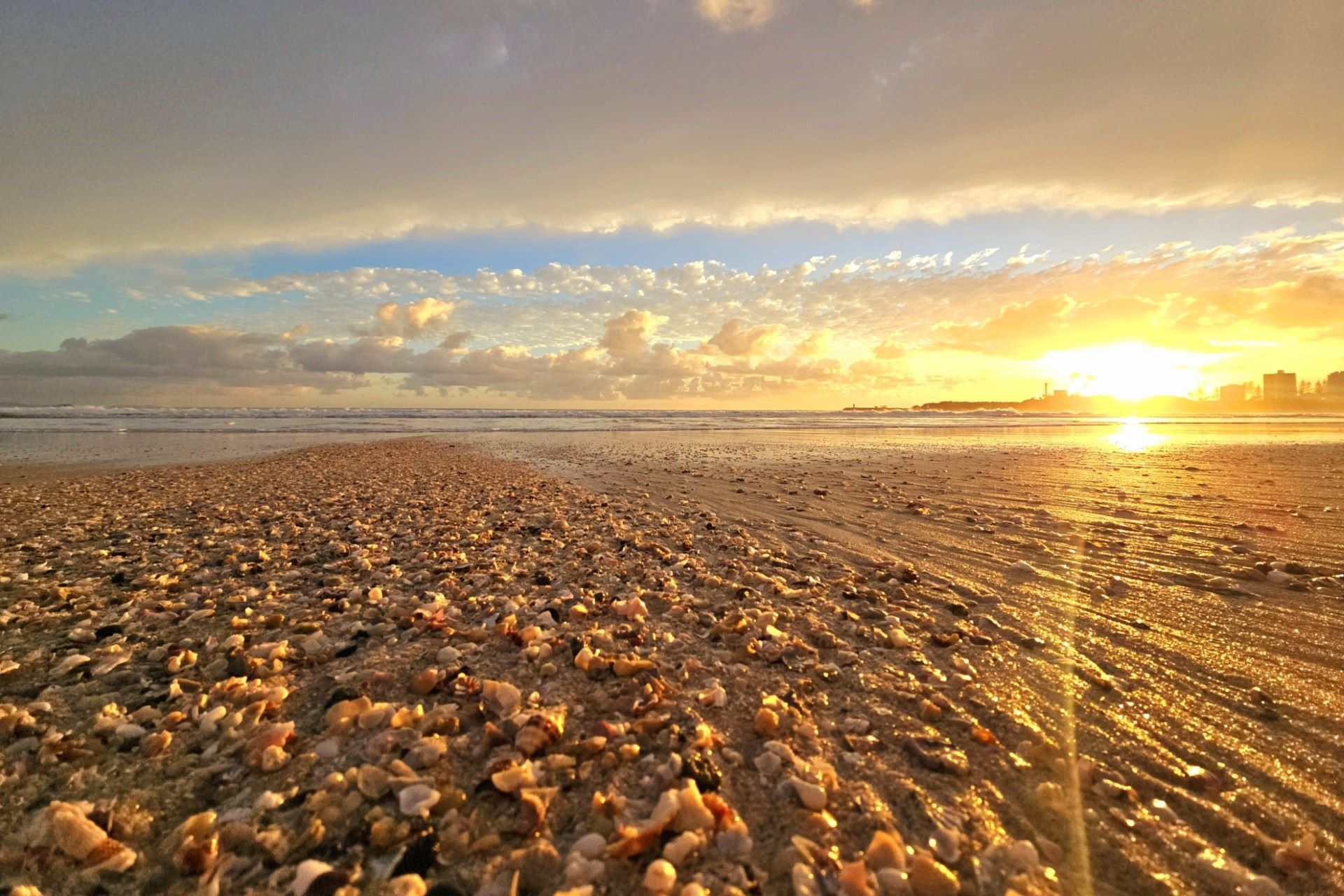 Photo of the day: sea shells