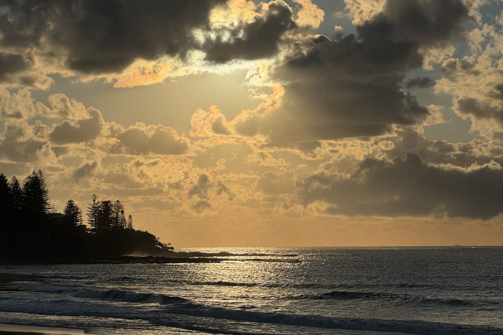 Photo of the day: morning light