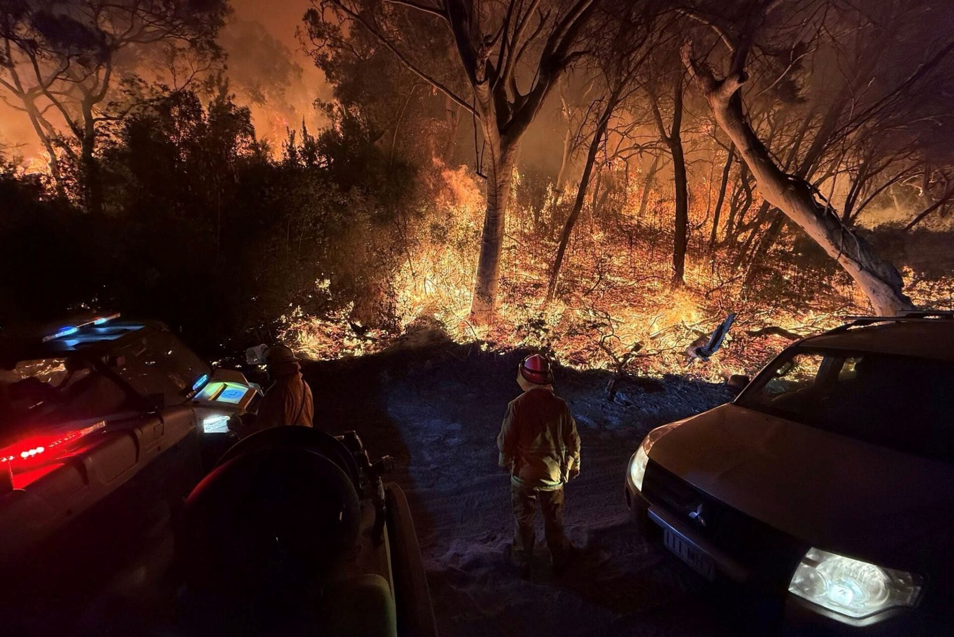 Island blaze sparked by holiday campfire