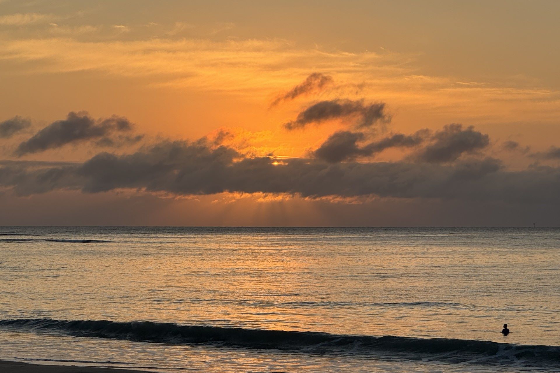 Photo of the day: dawn swim