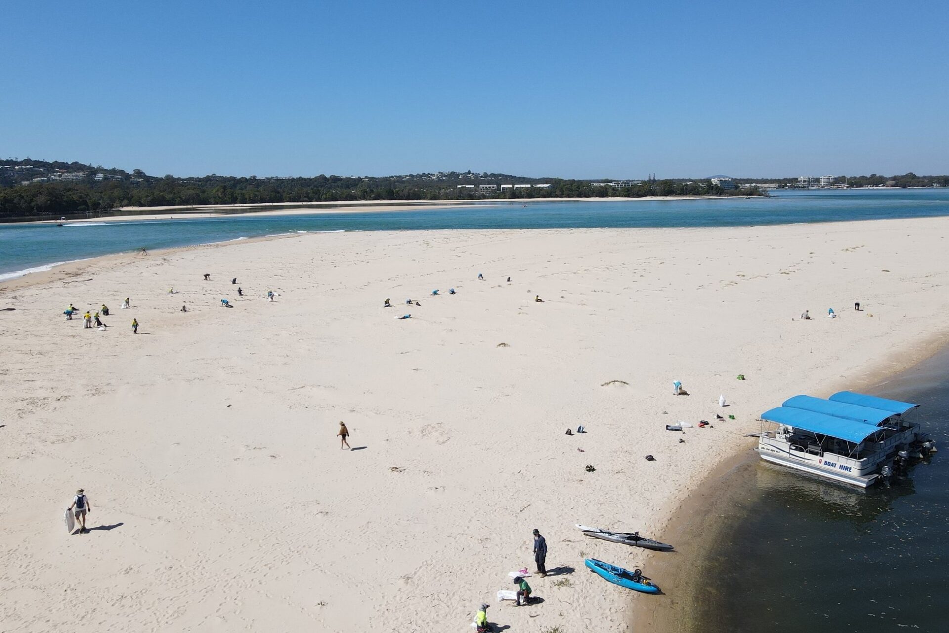 Battle to contain invasive American sea rocket