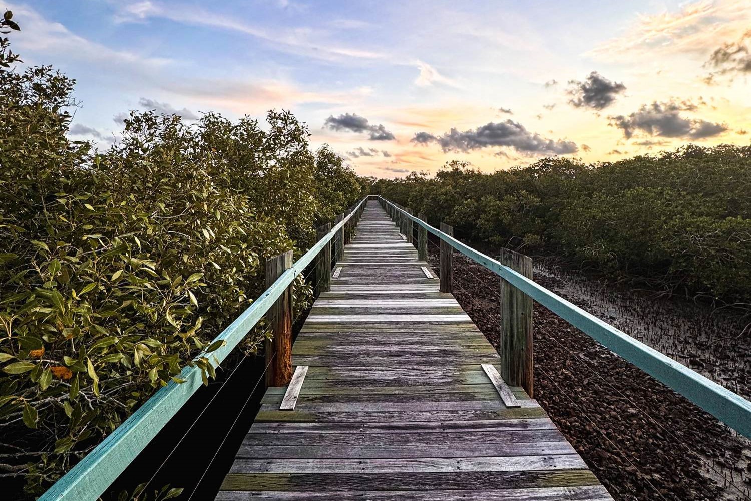 Beloved boardwalk to be restored soon