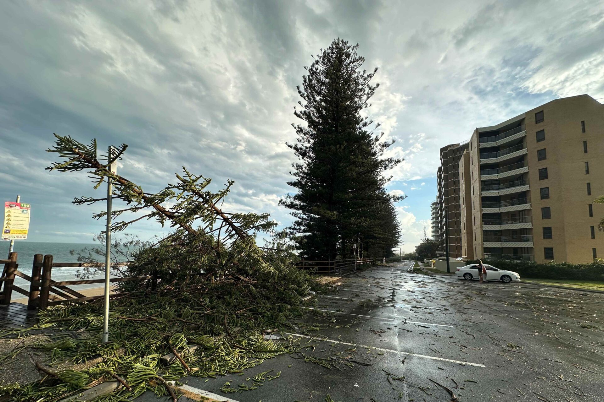 Trees down, power out as storms batter Coast