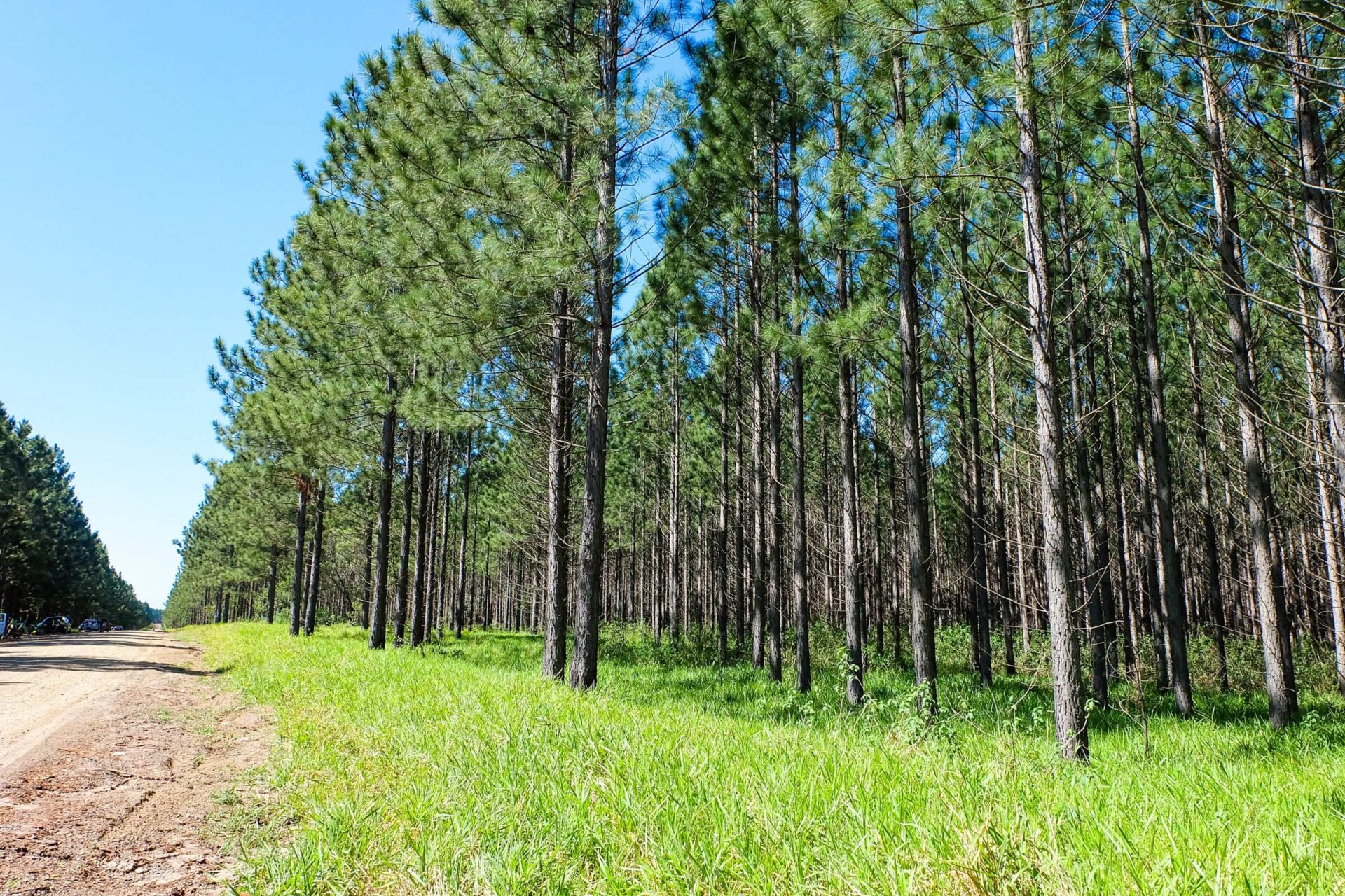 State insists plan for 3200 hectares of housing on track