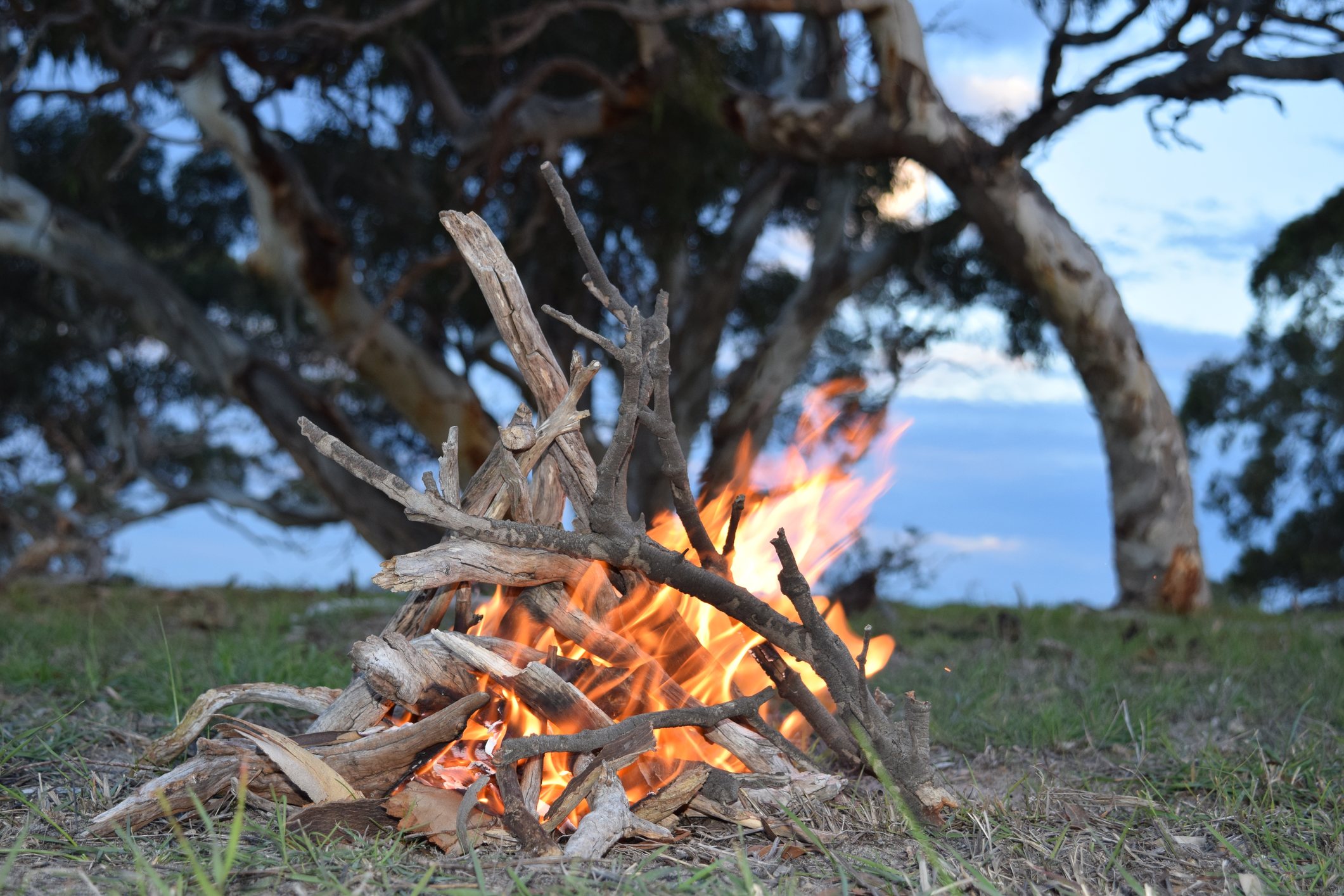 With no campfire skills, Aussies playing with fire