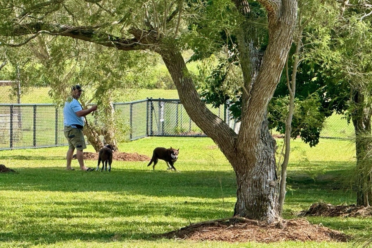 Locals uneasy about dog park placement