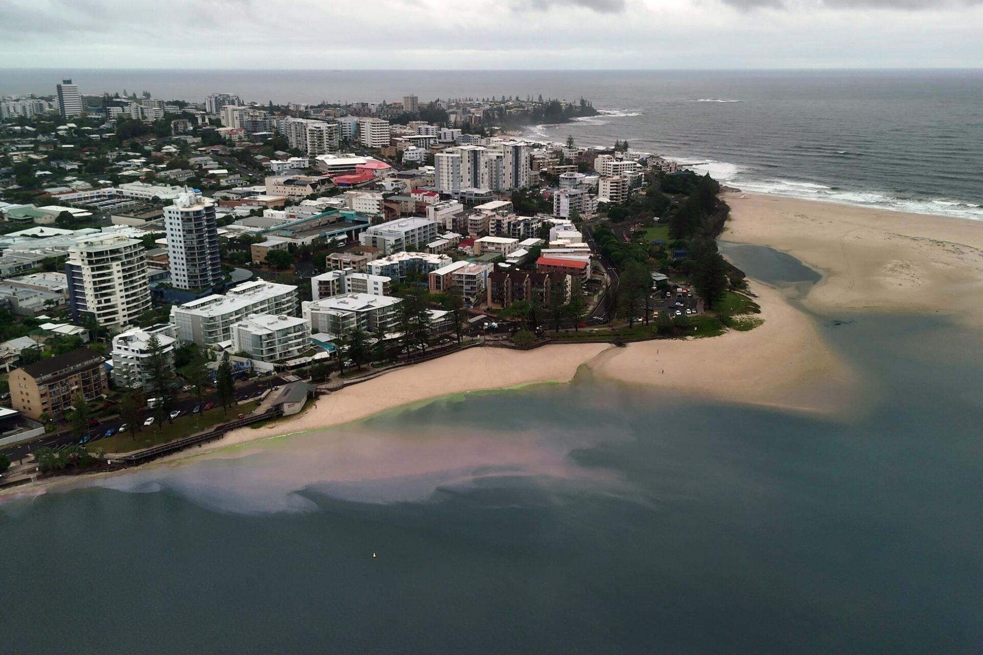 Green, smelly 'sea sawdust' invades waterways