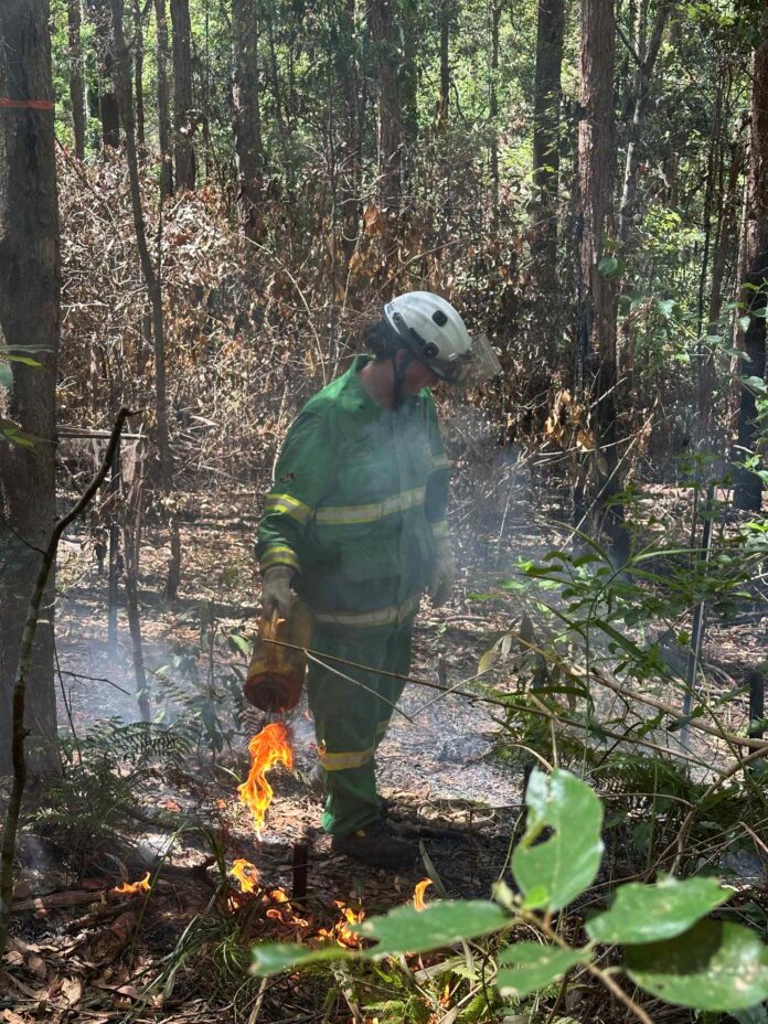 Decades-long fire study shows benefit of planned burns